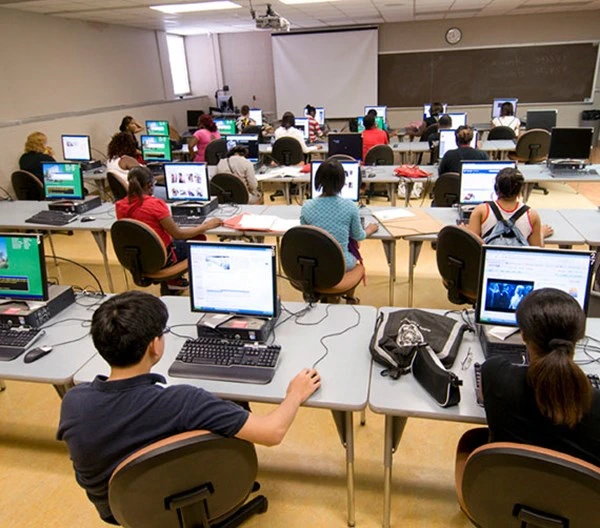 Majors, degrees and programs | Michigan State University